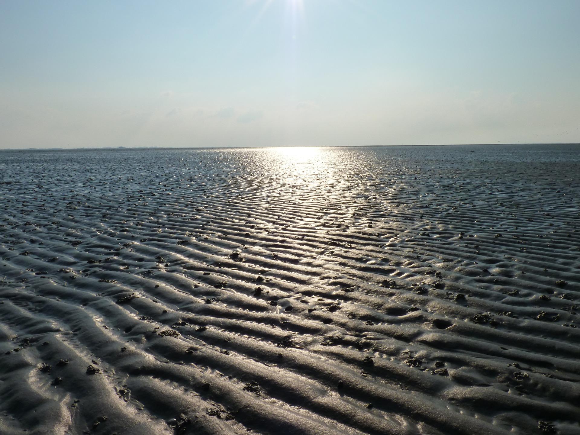 Waddenzee Summerlab - Challenging Future Generations