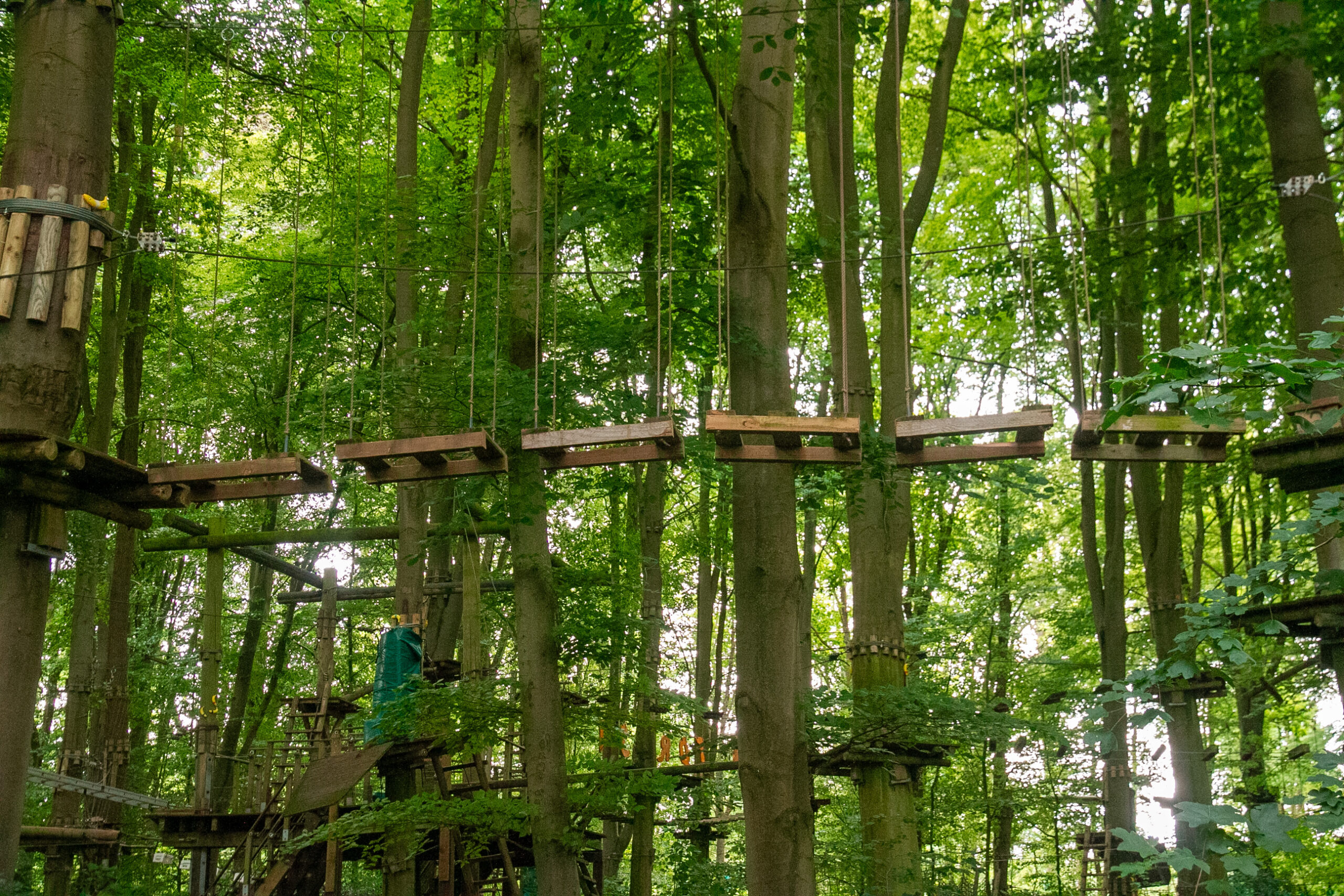 TREE Incubator programme for interuniversity collaborations on ...